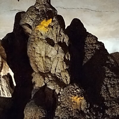 Fantastic Caverns Springfield Missouri | Drive-Through Cave